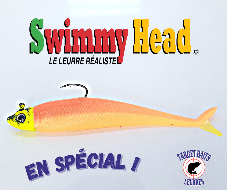 Swimmy Head – Target Baits Leurres